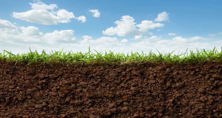 How is Soil Formed? - Gardener and Agriculturist Guide