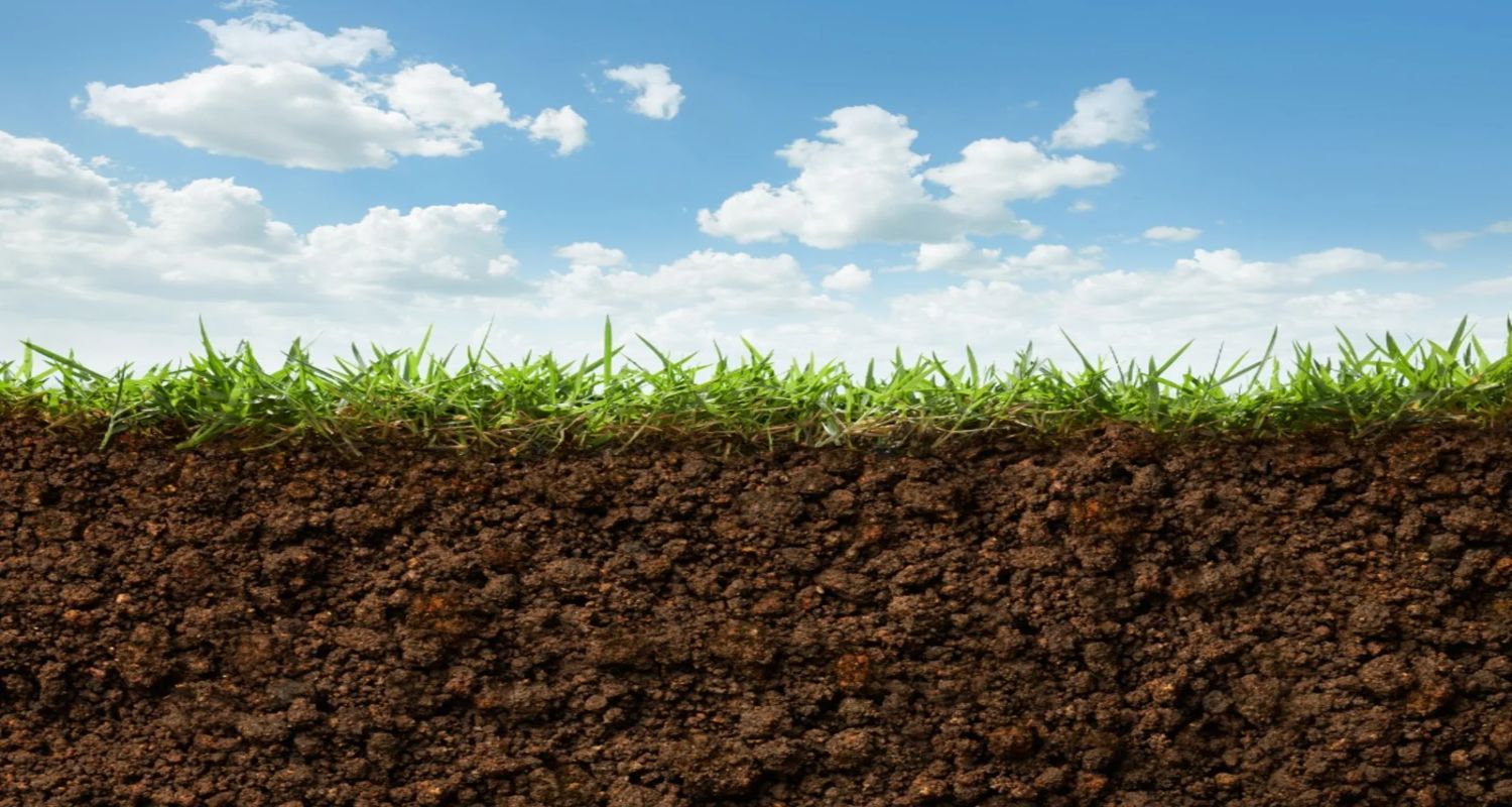 How is Soil Formed? - Gardener and Agriculturist Guide