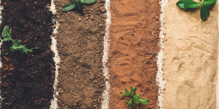 Key Differences Between Topsoil & Subsoil - Alsoils